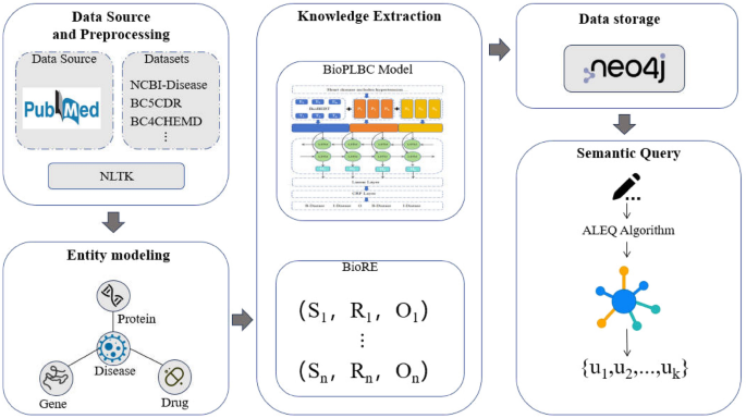 From biomedical knowledge graph construction to semantic querying: a ...