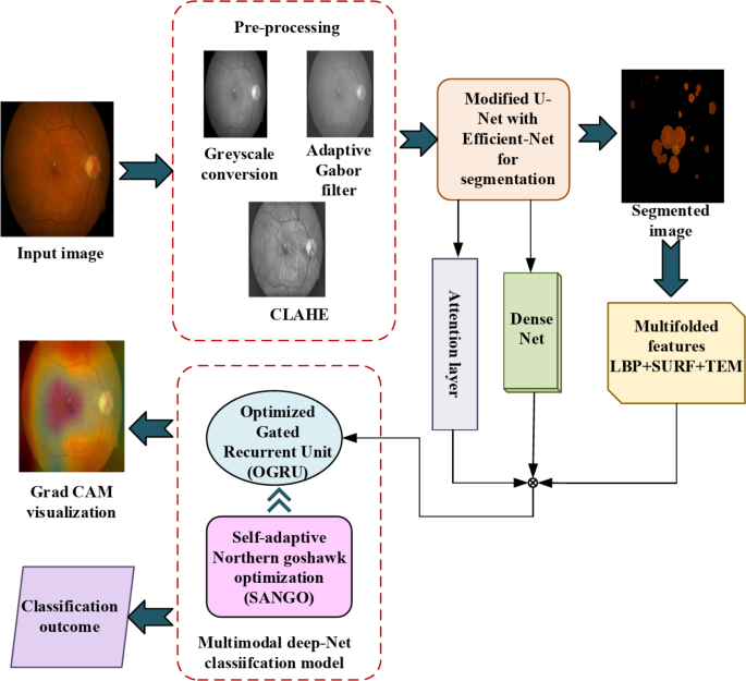 A multi model deep net with an explainable AI based framework for ...