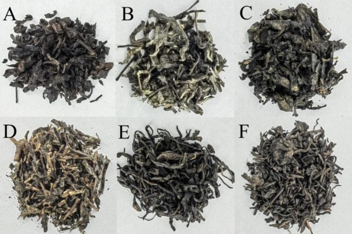 Fungal community composition and function in different Chinese post-fermented teas | Scientific ...