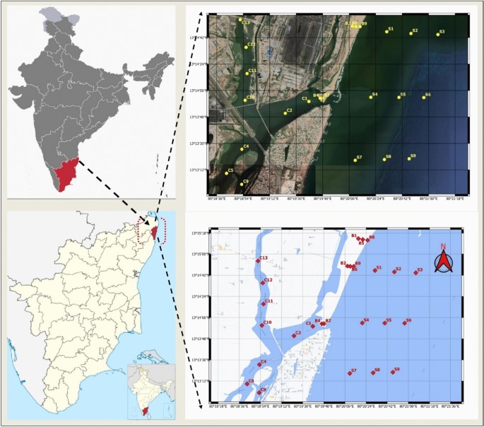 Heavy metal concentrations and pollution indicators in the Ennore ...