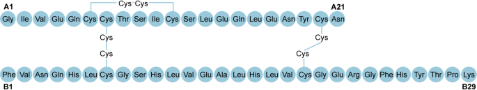 Design of a novel long-acting insulin analogs by acetylation ...
