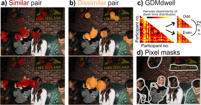 Individual gaze predicts individual scene descriptions | Scientific Reports