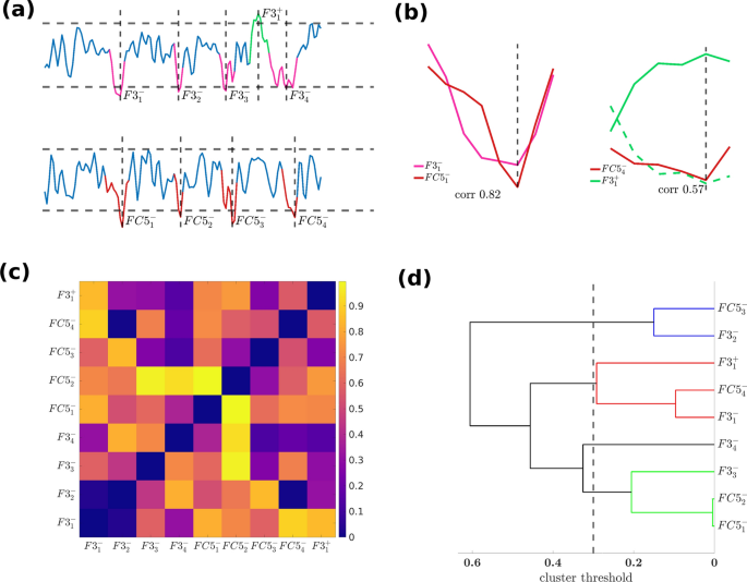 A novel method for estimating functional connectivity from EEG ...
