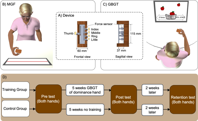 Enhancing prehension strength and dexterity through cross-education ...