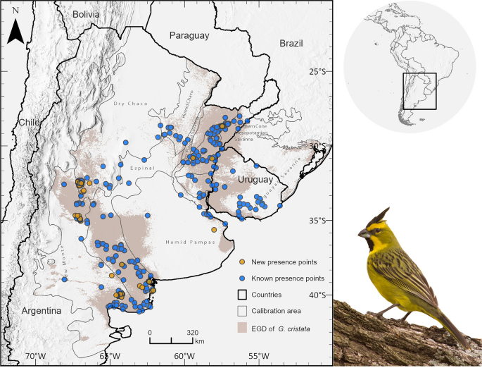 Vulnerability of Gubernatrix cristata to climate change, anthropogenic ...