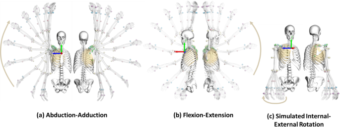 Multibody kinematics optimization for motion reconstruction of the ...