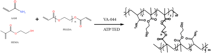 Application of HEMA-AAm copolymer to achieve faster optical tissue ...