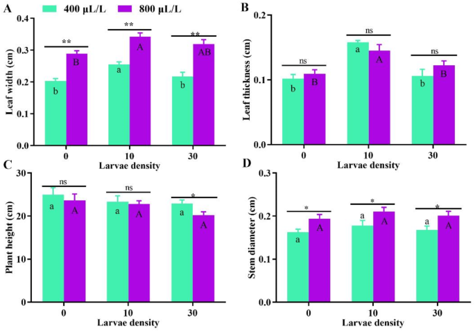 Physiological and growth responses of Chinese chives (Allium tuberosum) to elevated CO2 ...