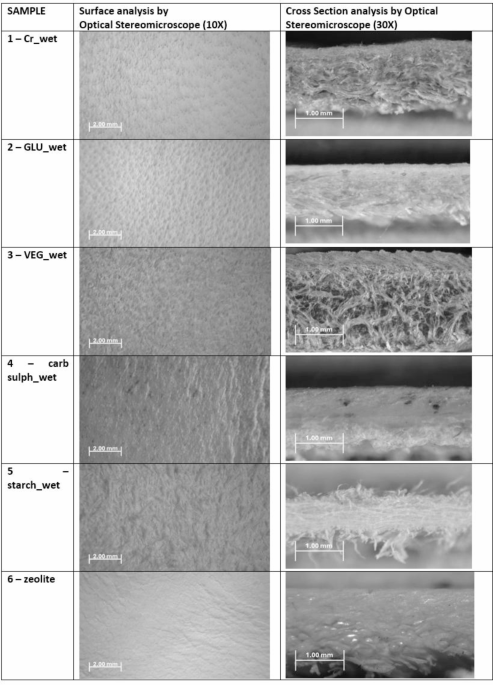 Comparative characterization of leather from different tanning ...