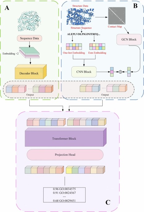 A multimodal model for protein function prediction | Scientific Reports
