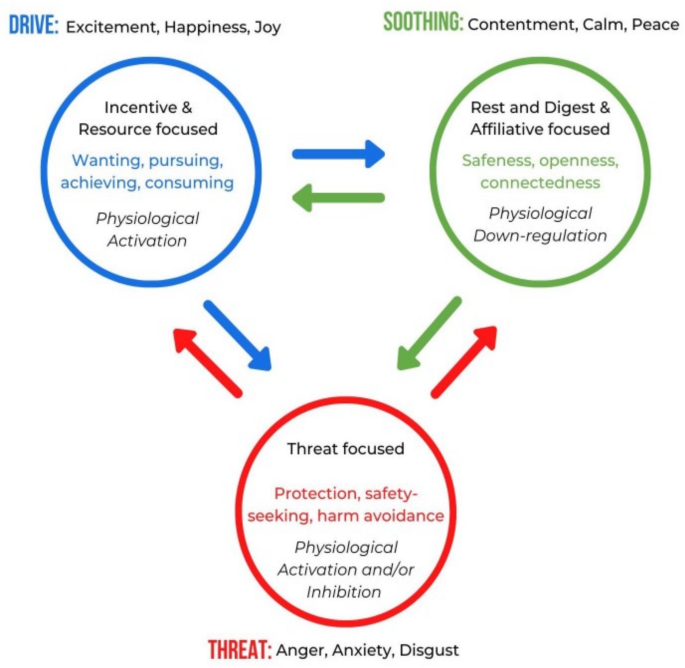 Testing a digital and interactive scale (the three circles) to assess ...