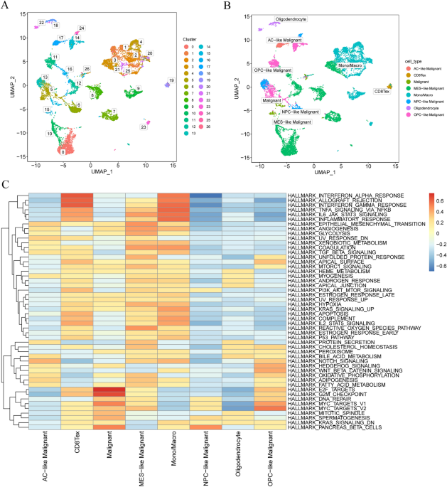 A spatial transcriptomics study of MES-like and mono/macro cells in ...