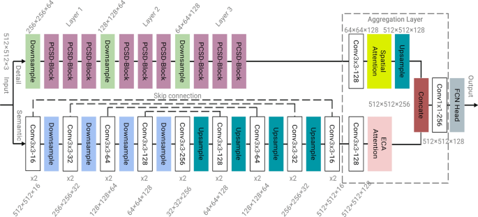 BiAttentionNet: a dual-branch automatic driving image segmentation network integrating spatial ...