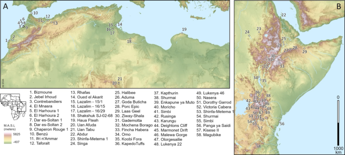 Climate seasonality and predictability during the middle stone age and ...