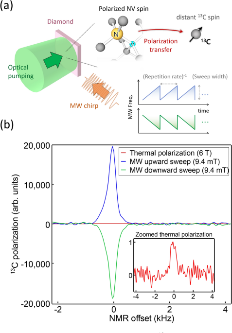 Achieving 5% 13C nuclear spin hyperpolarization in high-purity diamond ...