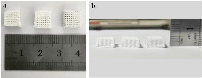 Fabrication and evaluation of 3D printed PLGA/nHA/GO scaffold for bone tissue engineering ...