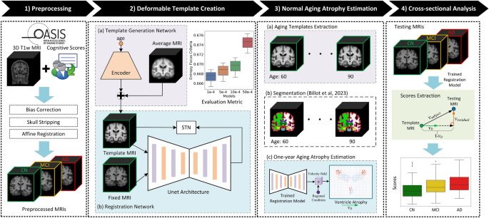 Decomposing the effect of normal aging and Alzheimer’s disease in brain ...