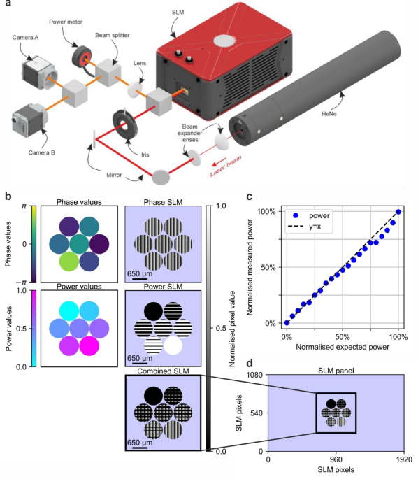 Deep learning for simultaneous phase and amplitude identification in ...