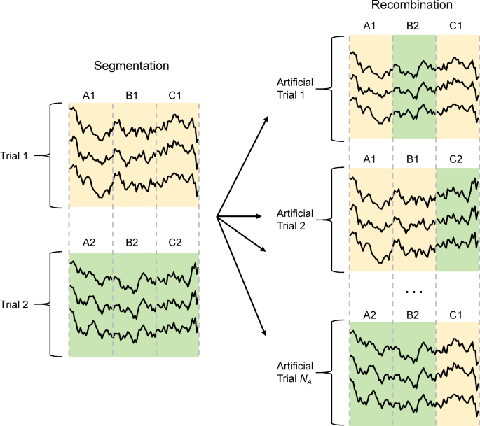Multi-scale convolutional transformer network for motor imagery brain-computer interface ...