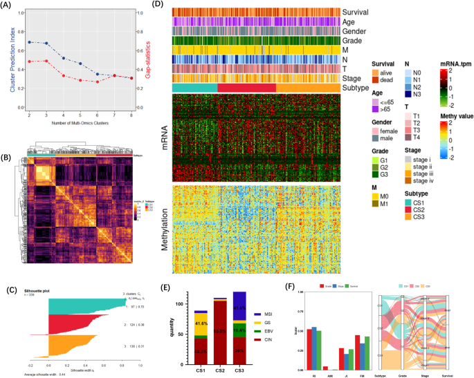 Prognostic molecular subtype reveals the heterogeneity of tumor immune microenvironment in ...