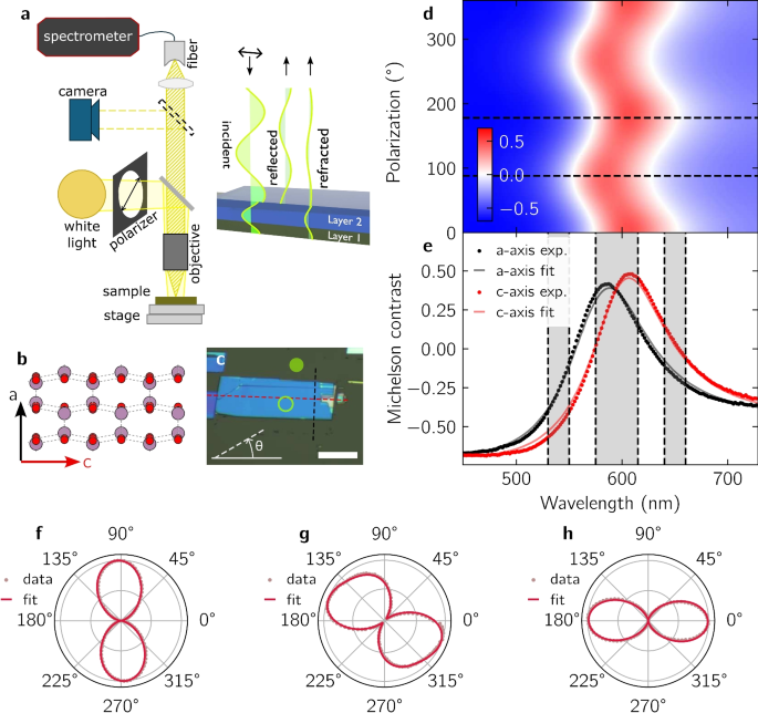 Polarized optical contrast spectroscopy of in plane anisotropic van der ...