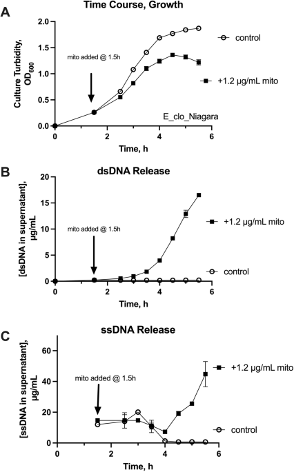 Rapid assembly of biofilms from DNA released by SOS-inducing drugs in ...