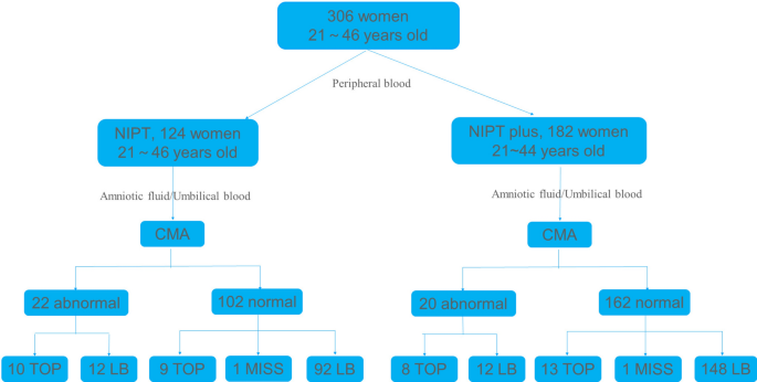 Retrospective study on NIPT or NIPT plus combined with ultrasound in ...