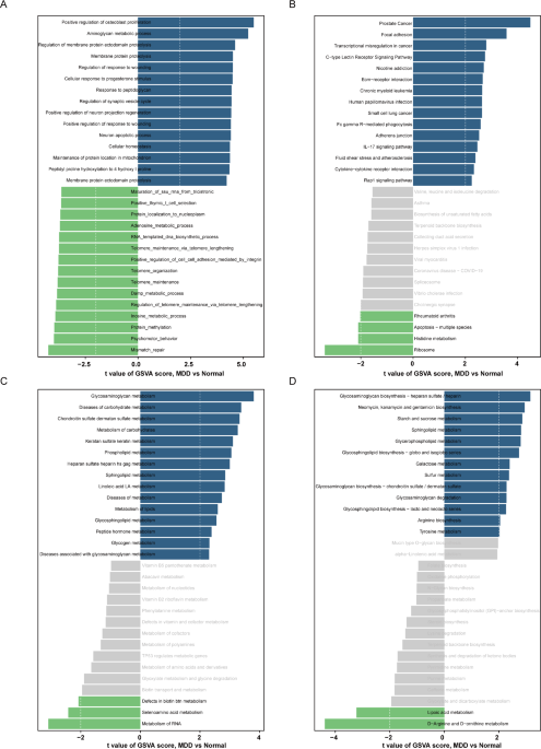 Integrative analysis of signaling and metabolic pathways, immune infiltration patterns, and ...