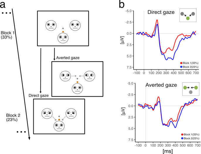Direct and averted gaze modulate the event-related brain responses to ...