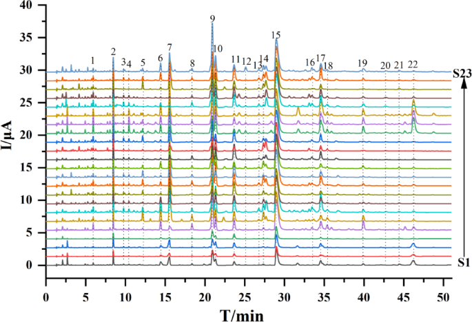 Antioxidant profiling and quality assessment of Lithocarpus ...