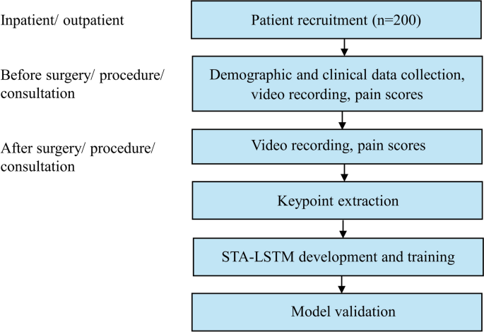 Automated pain detection using facial expression in adult patients with a customized spatial ...