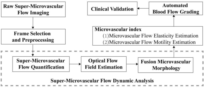 A method for quantifying and automatic grading of musculoskeletal ...