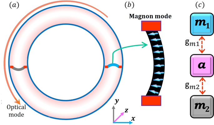 Bipartite entanglement and Gaussian quantum steering in a whispering gallery mode coupled with ...