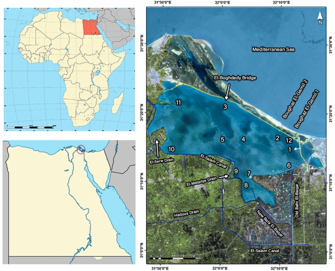Evaluating the restoration of Lake Manzala after dredging using water ...