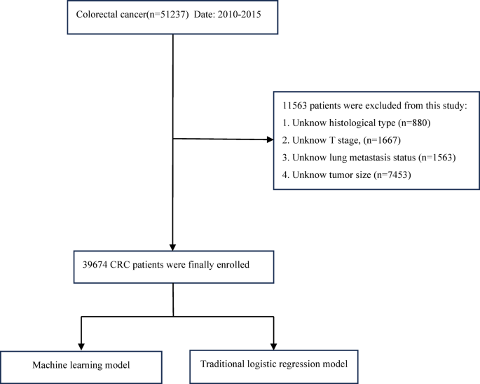Explainable machine learning for predicting lung metastasis of ...