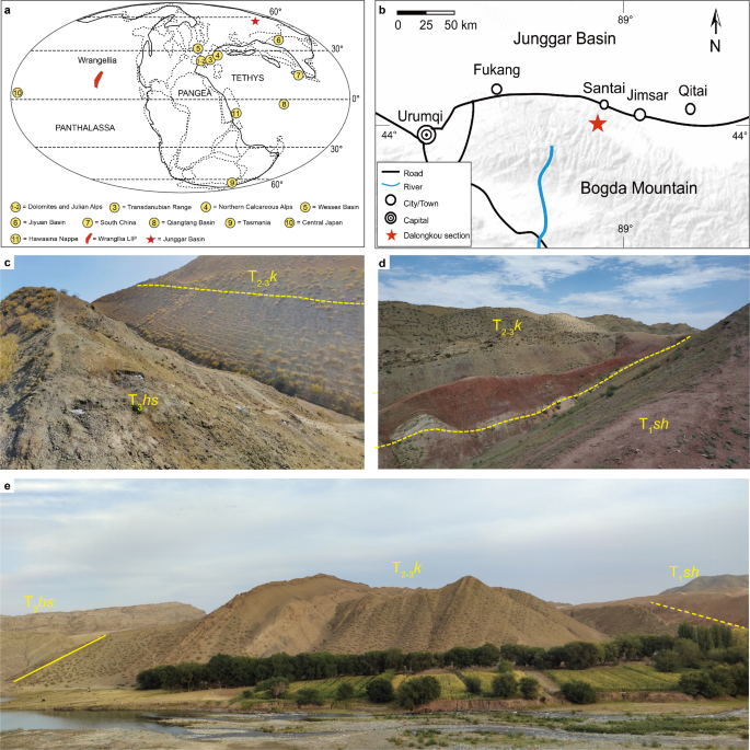 High latitude terrestrial carbon isotope and mercury perturbations ...