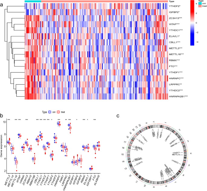 Predictive models and WTAP targeting for idiopathic pulmonary fibrosis (IPF) | Scientific Reports