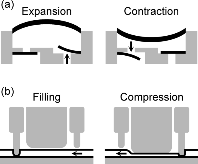 Accuracy of infusion flow rates and bolus doses for portable infusion ...