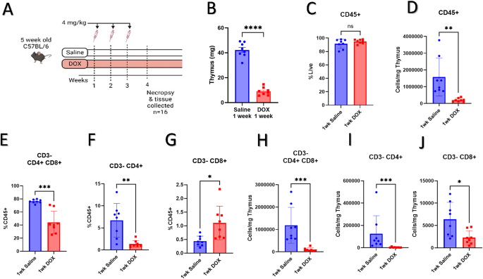 Divergent immediate and delayed effects of juvenile exposure to ...