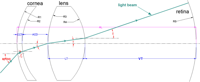 Reconstruction of three-dimensional retinal shape from refractive ...