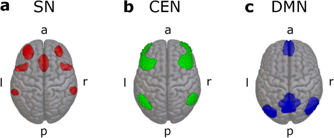 Salience network resting-state functional connectivity predicts self ...