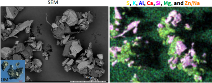 Characterization of tire and road wear particles in experimental biota ...