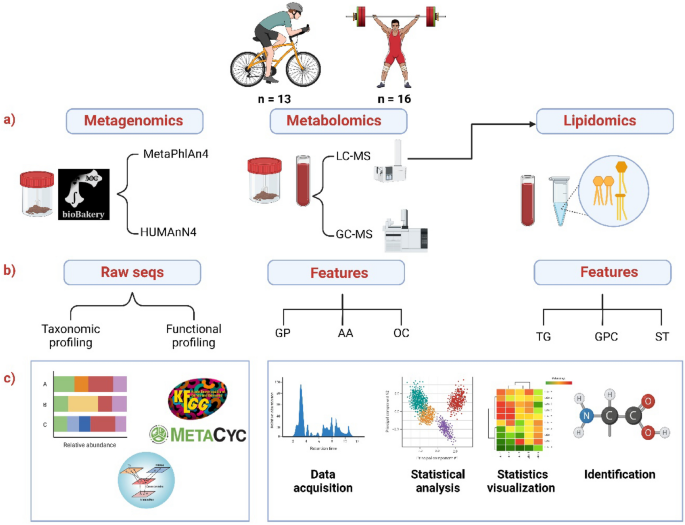 Integrating metagenomics and metabolomics to study the gut microbiome ...