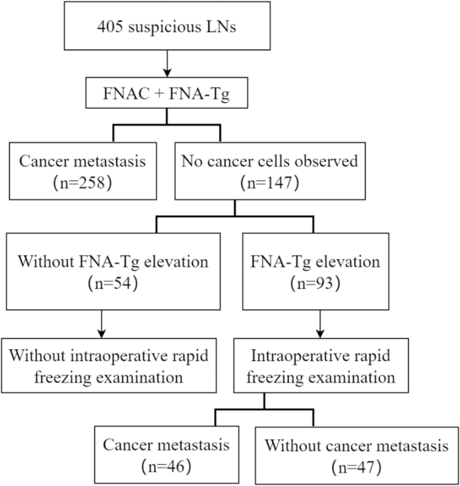 FNA-Tg improves the diagnostic efficacy of FNAC for PTC lateral ...