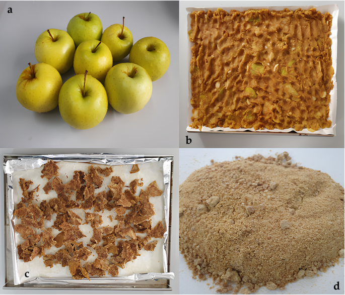 Utilization of apple pomace as a novel substrate for citric acid ...