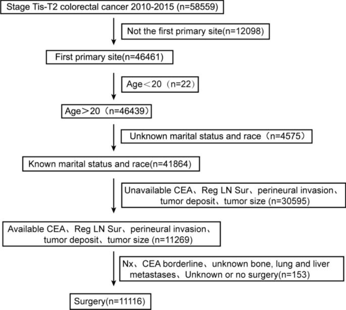 Risk factors, prognostic factors, and nomograms for liver metastasis in ...