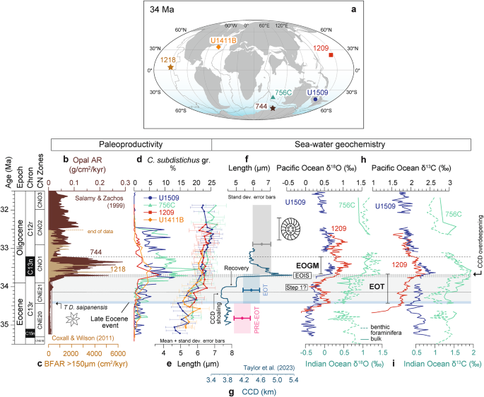 Beyond the ice: shifts in productivity and carbonate oversaturation at ...