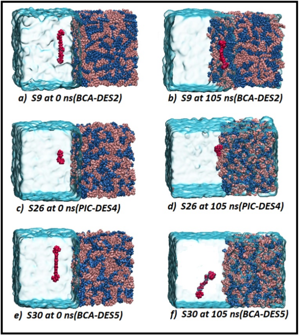 Optimizing saffron bioactive extraction with deep eutectic solvents ...