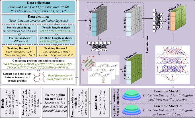 A new strategy for Cas protein recognition based on graph neural ...