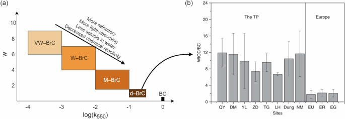 Dark brown carbon from wildfires: a potent snow radiative forcing agent ...